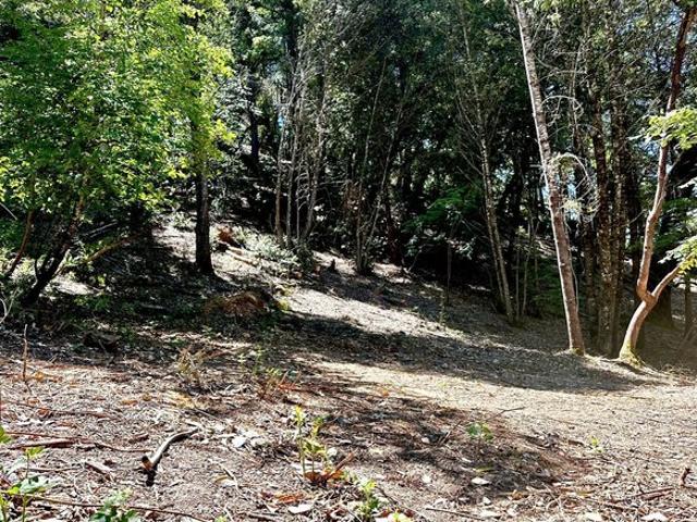 775 and 801 Forest View Dr, Willow Creek, CA 95573