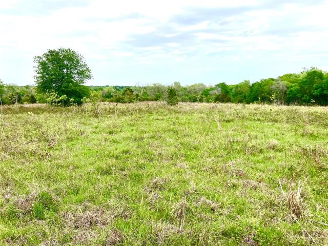 775 S Fm 441 Road