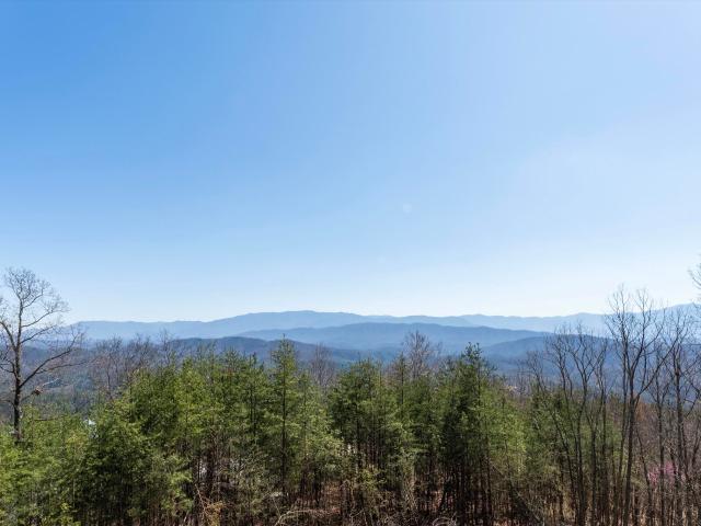 775 Shell Mountain Road