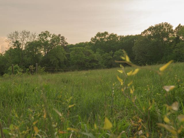 775 Railroad Rd