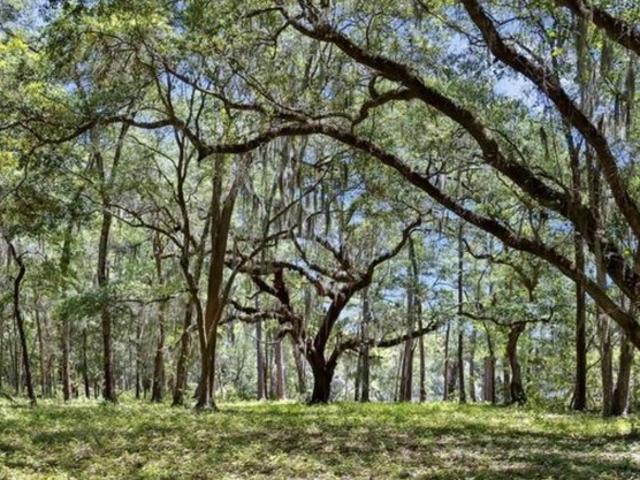 7767 Chaplin Garden Ln, Edisto Island, SC 29438