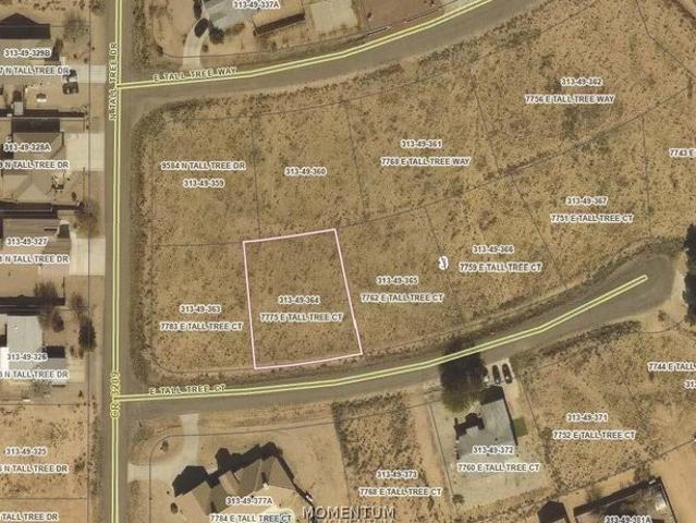 7775 E Tall Tree Ct, Kingman, AZ 86401