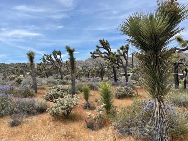 7777 Onaga Trail