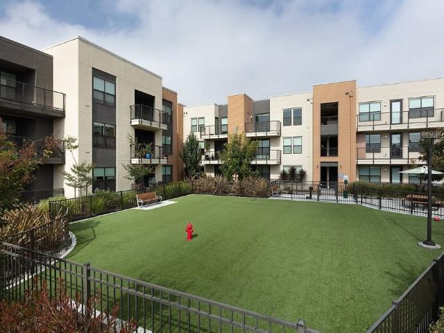 777 Hamilton 1 Bedroom Apartment for Rent at 777 Hamilton Ave, Menlo Park, CA 94025 Belle Haven