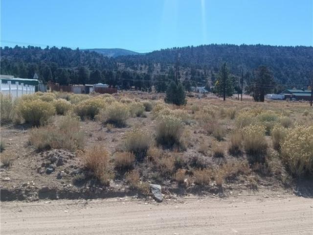 777 Old Pioneer Town Rd, Baldwin Lake, CA 92314