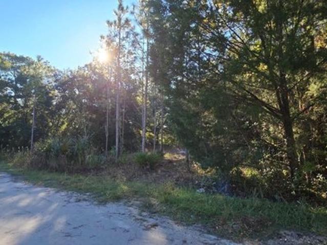 7784 W Twin Canal Ln, Homosassa, FL 34448