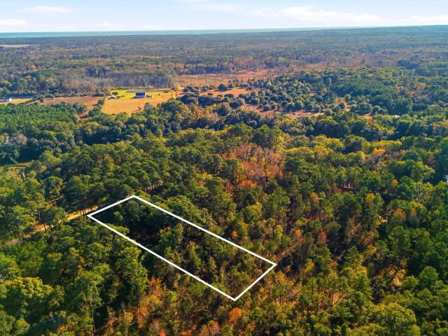 7787 Chaplin Garden Ln, Edisto Island, SC 29438 | MLS #25032