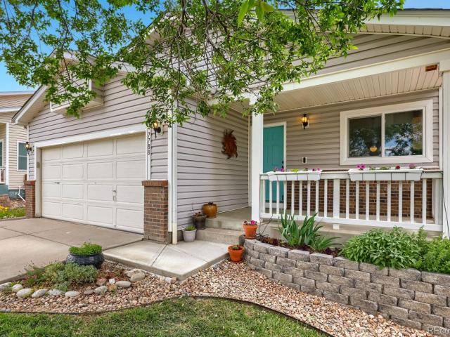 7788 Brown Bear Way