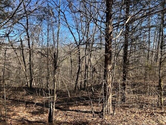 7789 E Co Rd Unit T561, Ava, MO 65608