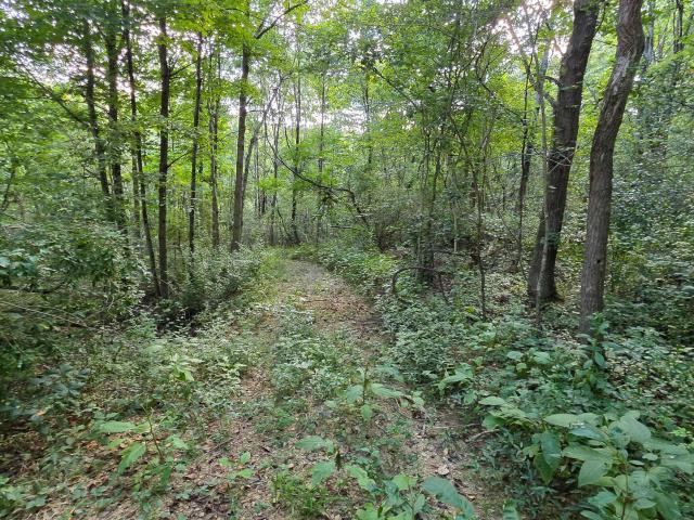 7783 Township Road 216 SE # Lil Slice of Heaven Cabin