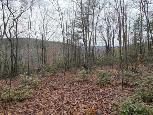 778 Eastridge Pass, Monterey, TN 38574