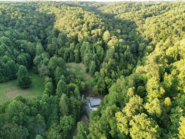 778 Jones Hollow Road