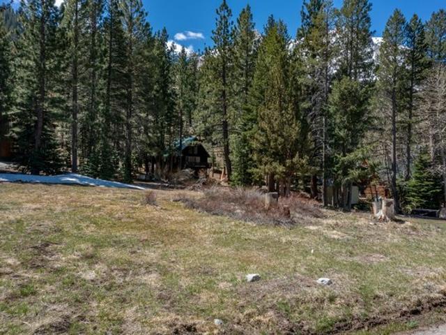778 Steelhead Rd, June Lake, CA 93529