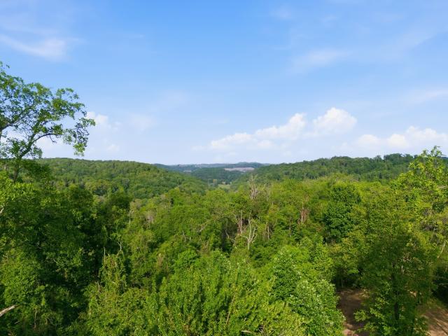7791 Old Charlotte Pike