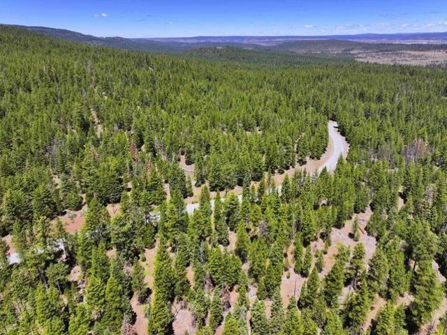 7792 California Pines Blvd, Alturas, CA 96101