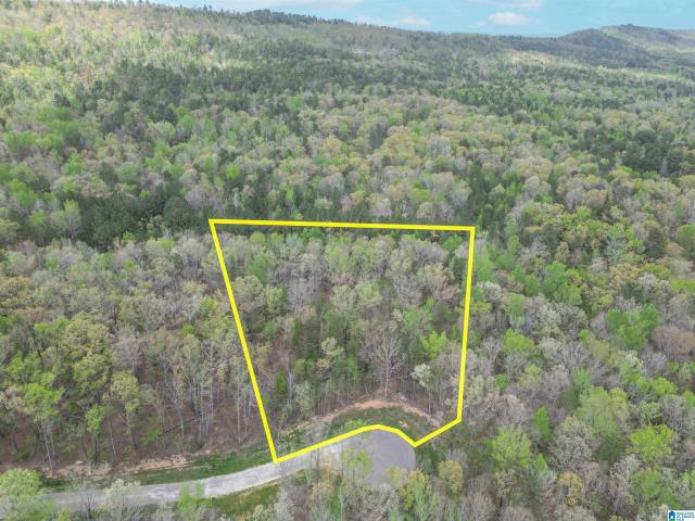 779 Cavalier Ridge # 35