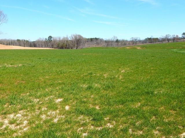 779 Graysport Crossing Road