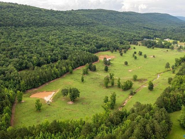 7805 B Owls Hollow Rd, Gadsden, AL 35901