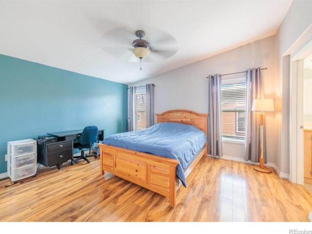 7805 Sunflower Green