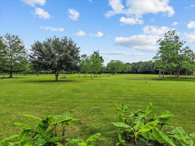 7808 Carolyn St, Santa Fe, TX 77517