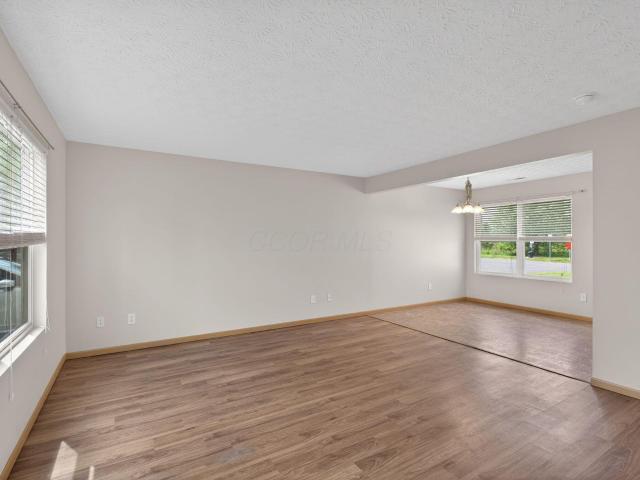 7802 Freesia Street # 274