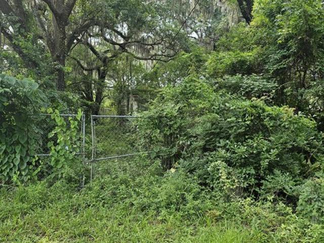 7803 Crawford St, Jacksonville, FL 32256