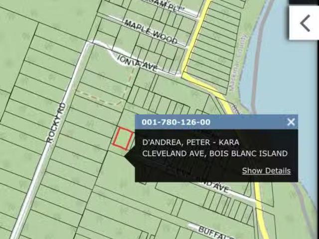 780 126 CLEVELAND AVE, BOIS BLANC, MI 49775 Vacant Land For Sa.