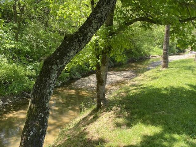 780 Skillet Branch Rd, Owingsville, KY 40360