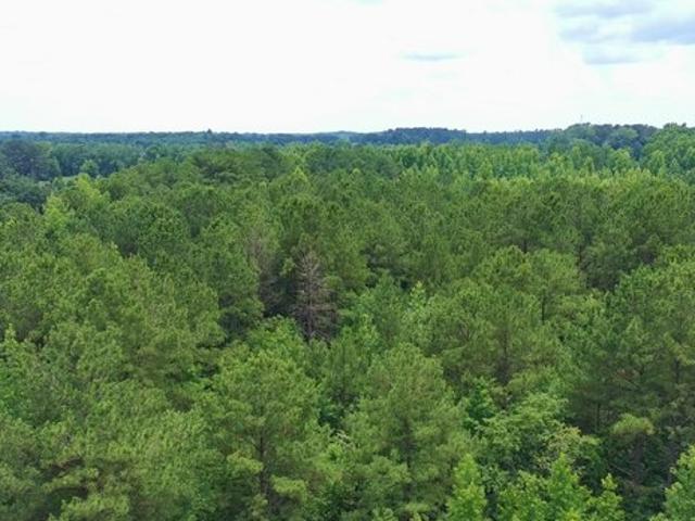 780 Quail Run Rd, Lumberton, NC 28358