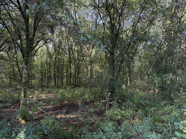 7814 NW 96th Ct, Okeechobee, FL 34972