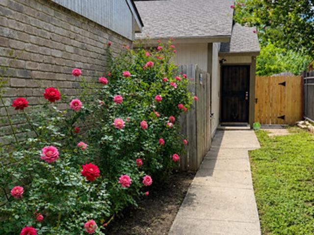 7817 Broadwick