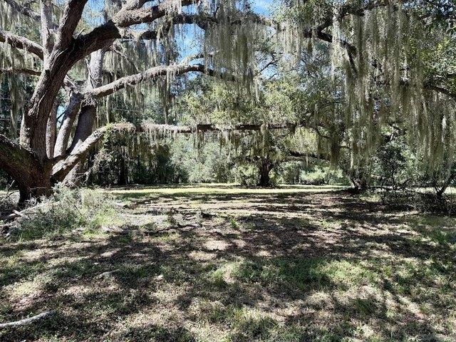 7817 Little Britton Rd, Meggett, SC 29449