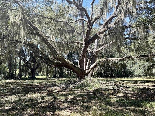 7817 Little Britton Rd Lot A3, Meggett, SC 29449