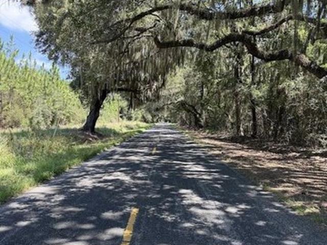 7817 Little Britton Rd Lot A2, Meggett, SC 29449