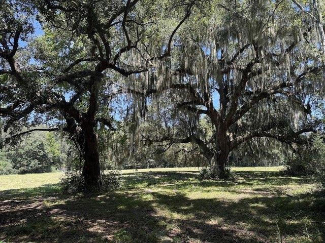 7817 Little Britton Roadlot C # 1A, Meggett, SC 29449