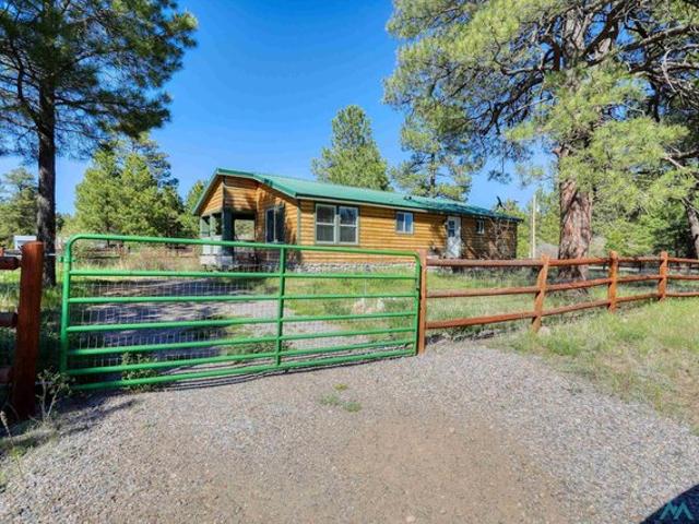 781 Sandoval St, Chama, NM 87520