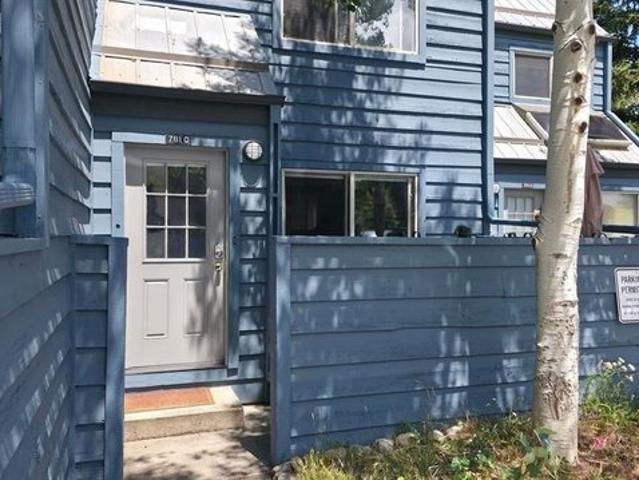 781 Rainbow Dr Unit 781C, Silverthorne, CO 80498