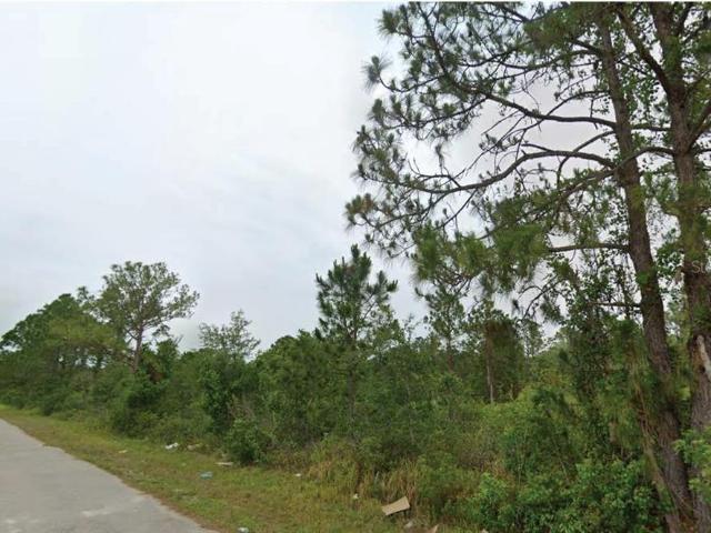 7824 Leonardo St, Sebring, FL 33872 | MLS #O6346