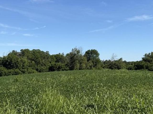 7825 Mount Carmel Rd, Flemingsburg, KY 41041