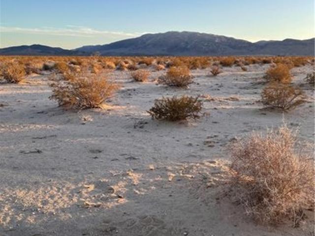 78201 Two Mile Rd, Twentynine Palms, CA 92277