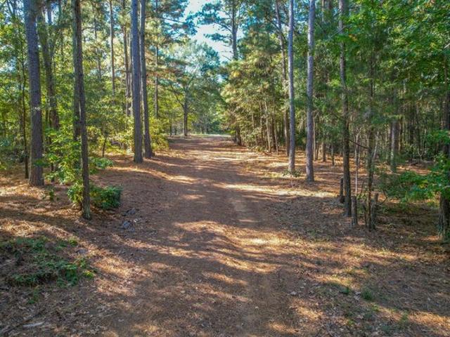 7821 County Road 3409, Chandler, TX 75758