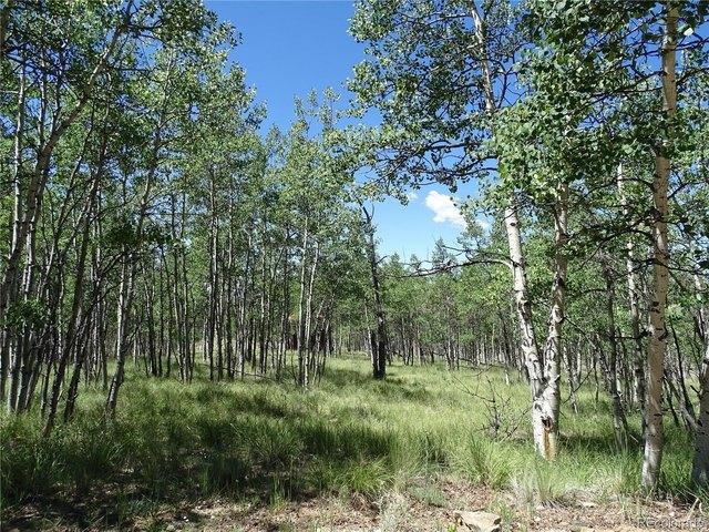 782 Bowstring Rd Lot 38, Como, CO 80432