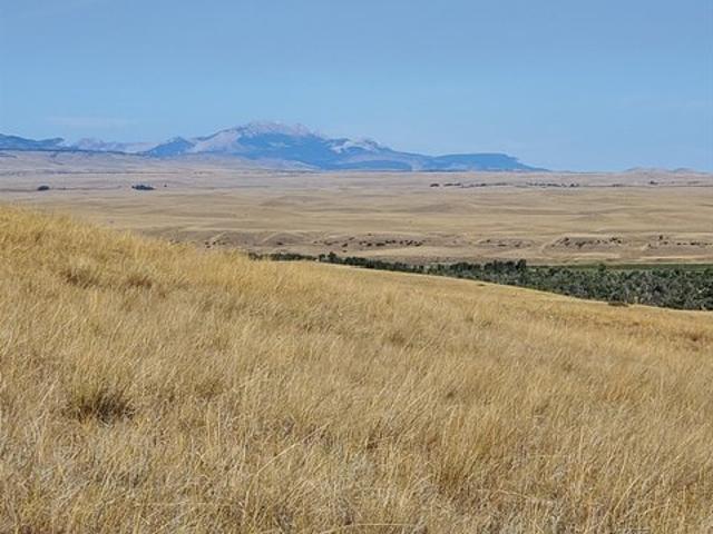 7830 N Spruce Dr, Augusta, MT 59410