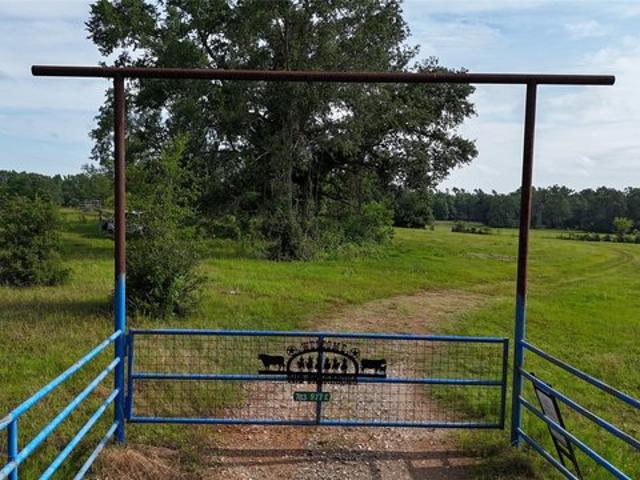 783 FM 977 E, Leona, TX 75850