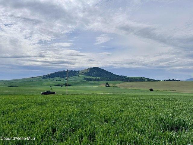 783 Old Mills Rd, Desmet, ID 83824