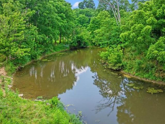 783B Rutland Rd, Cynthiana, KY 41031