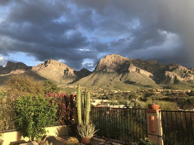 784 Cam Diestro, Oro Valley, AZ 85704