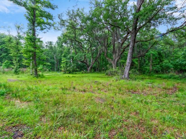 7855 Mary Seabrook Road