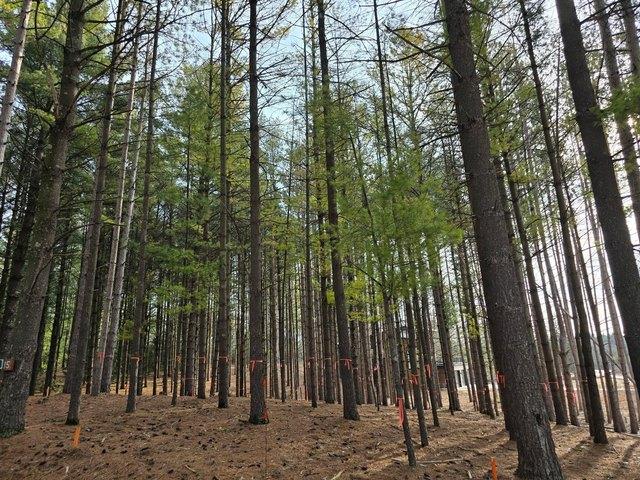 7855 Indian Lore Rd Unit 15, Farmington, WI 53090