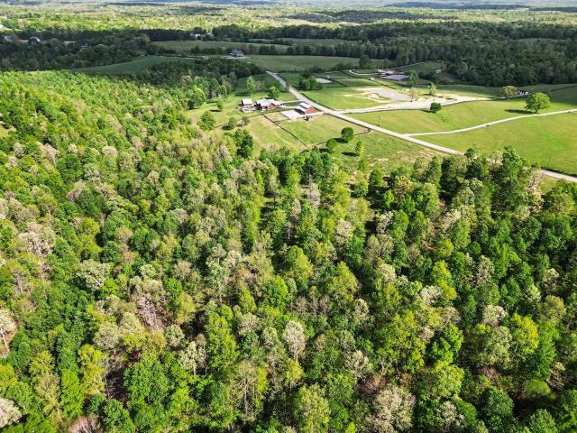 7850 W Lick Creek Rd, Primm Springs, TN 38476 | MLS #3254